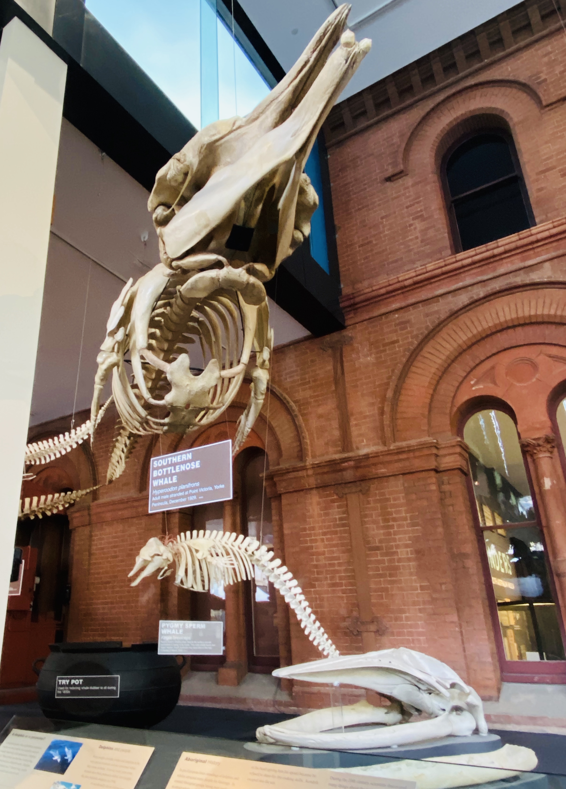 And here we are – Pen Paint and Scalpel