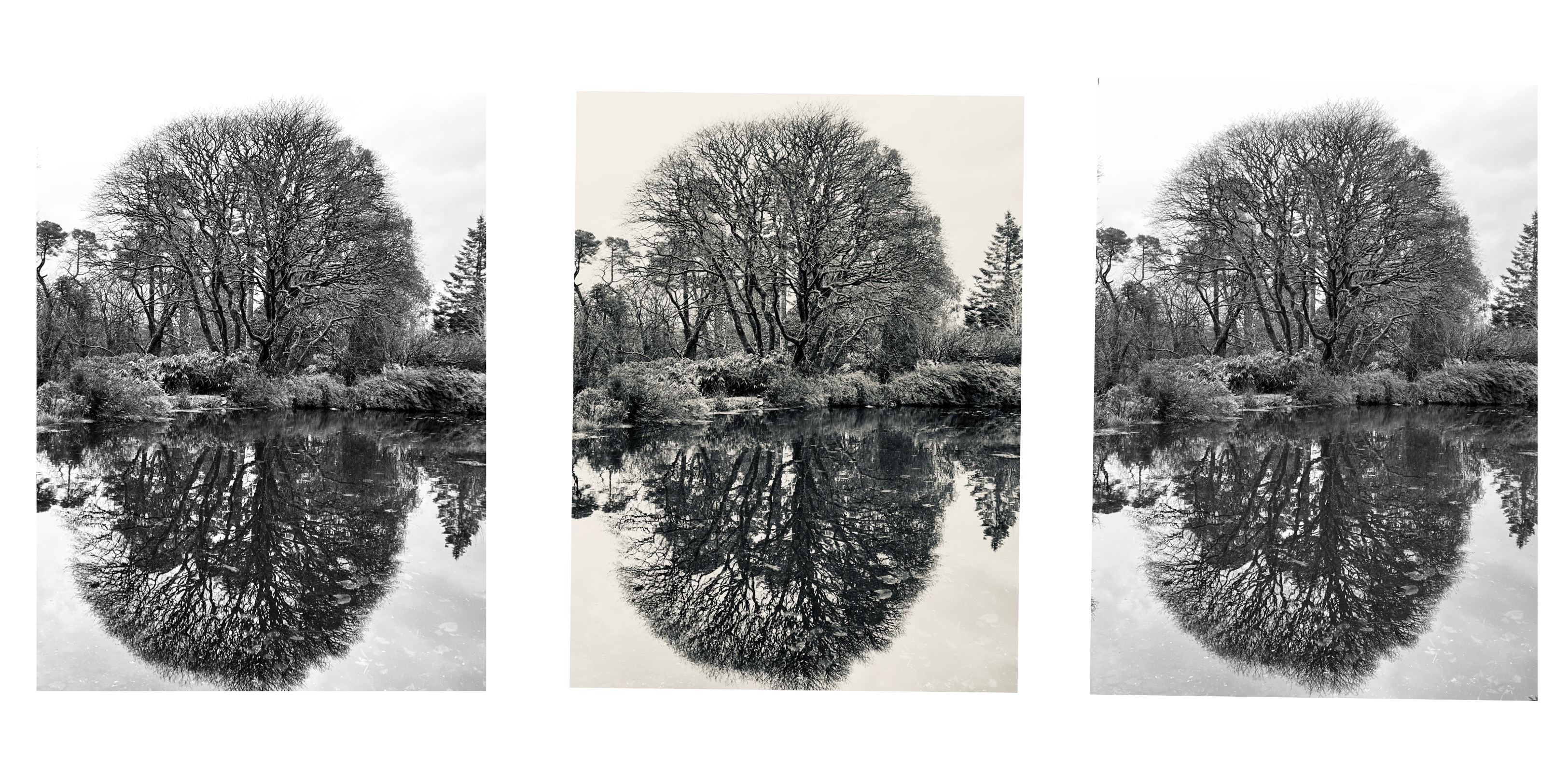 Exploring the dark side – Pen Paint and Scalpel